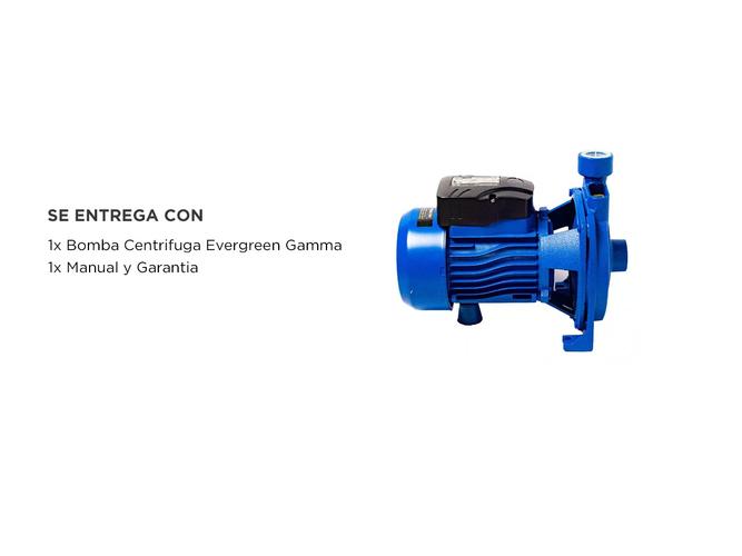 Bomba Centrifuga Evergreen Gamma Monofasica 1.5hp 1100w E1706AR | Bidcom